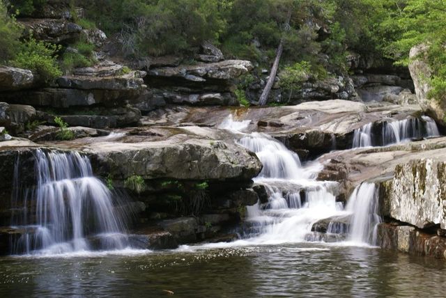 Forêt et cascades d'Aïtone : paradis de verdure et d'eau en Corse
